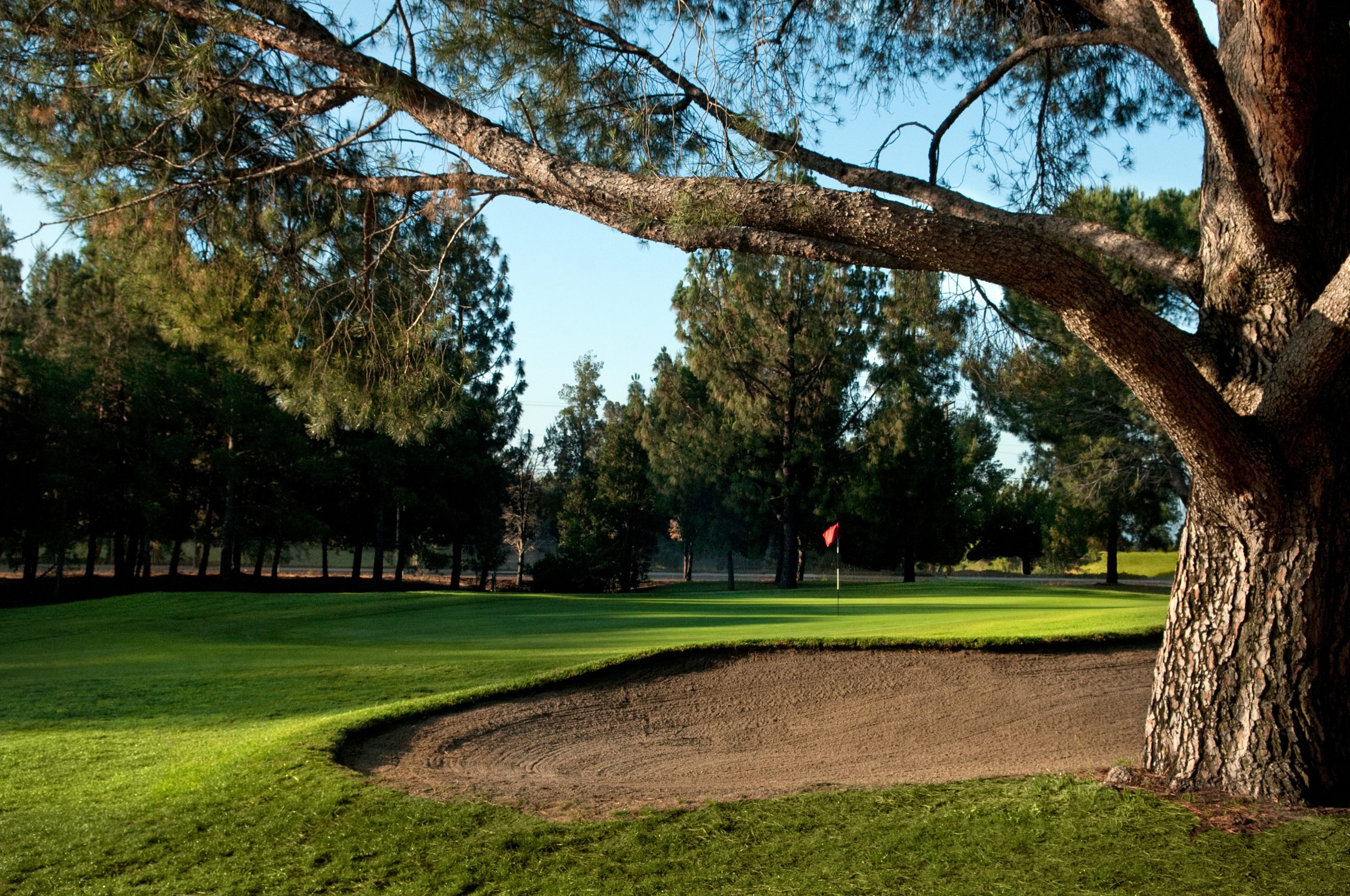 Knollwood Country Club | Public Golf Course in Granada Hills, CA